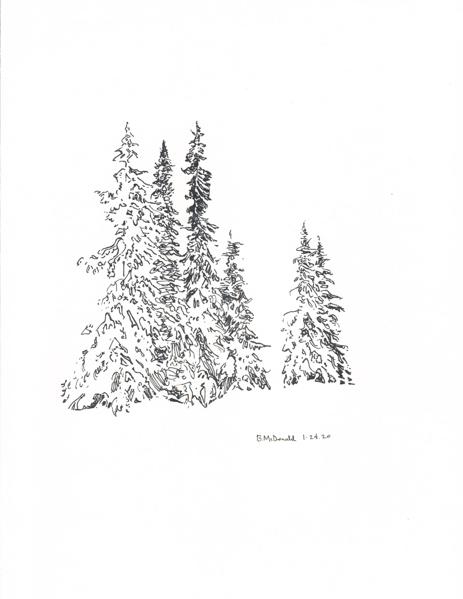 Brandon McDonald: Rocks, Creeks, and Woodlands. Pen & Ink Impressions ...