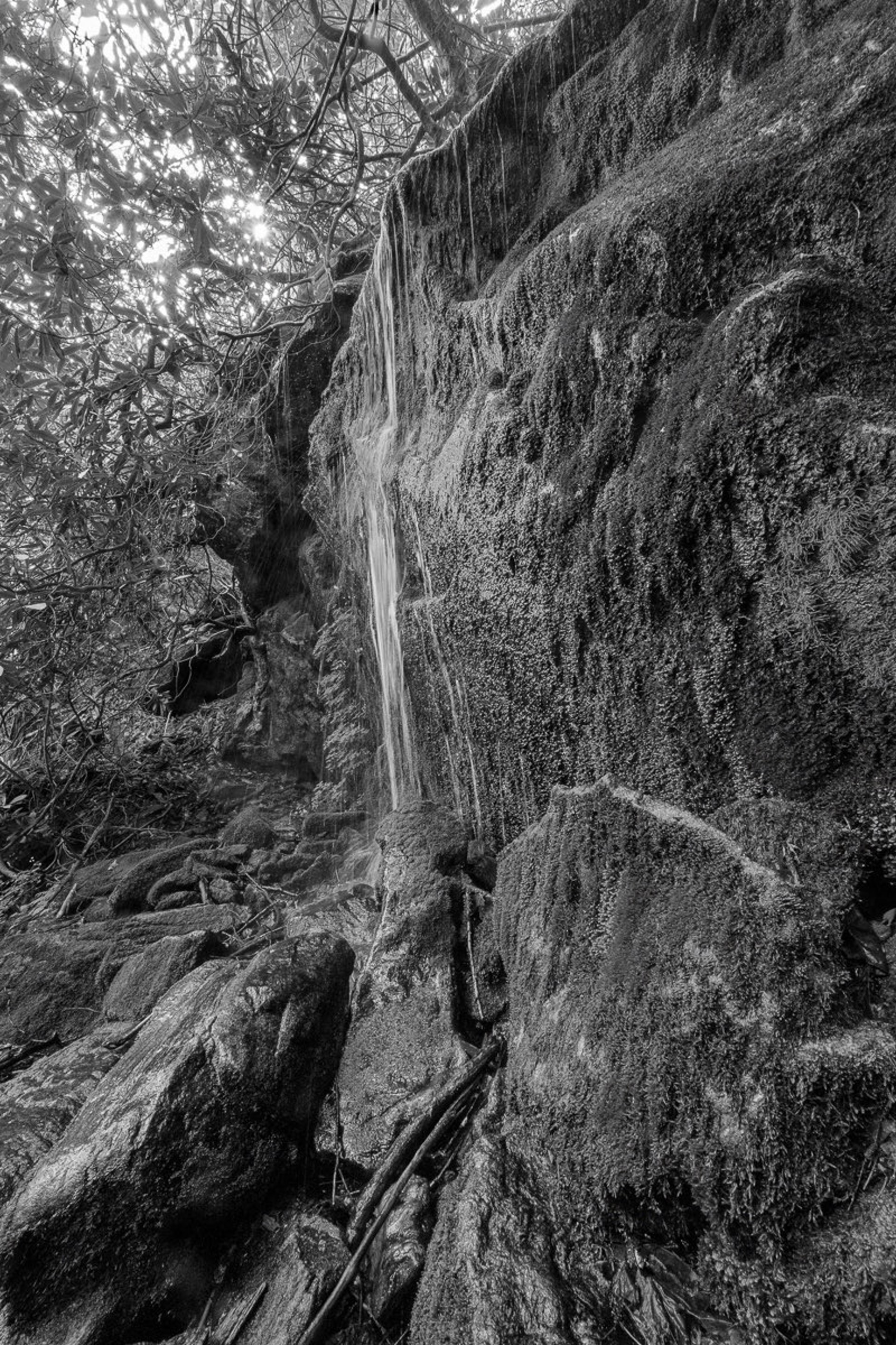 The Cave Beyond the Waterfall is the Keeper of My Illusions by Lynne ...