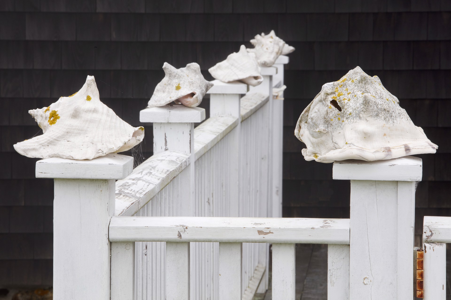 Still With Us by Peter Ralston | Ralston Gallery