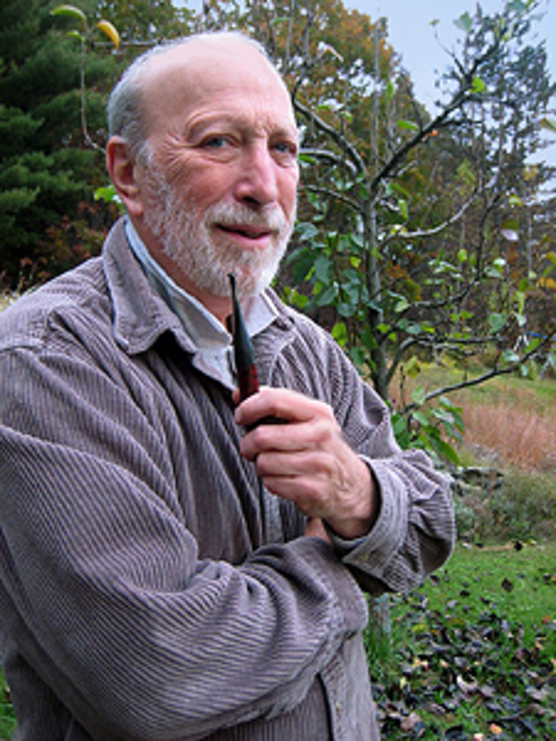 H.M. Saffer, II | Blue Raven Gallery