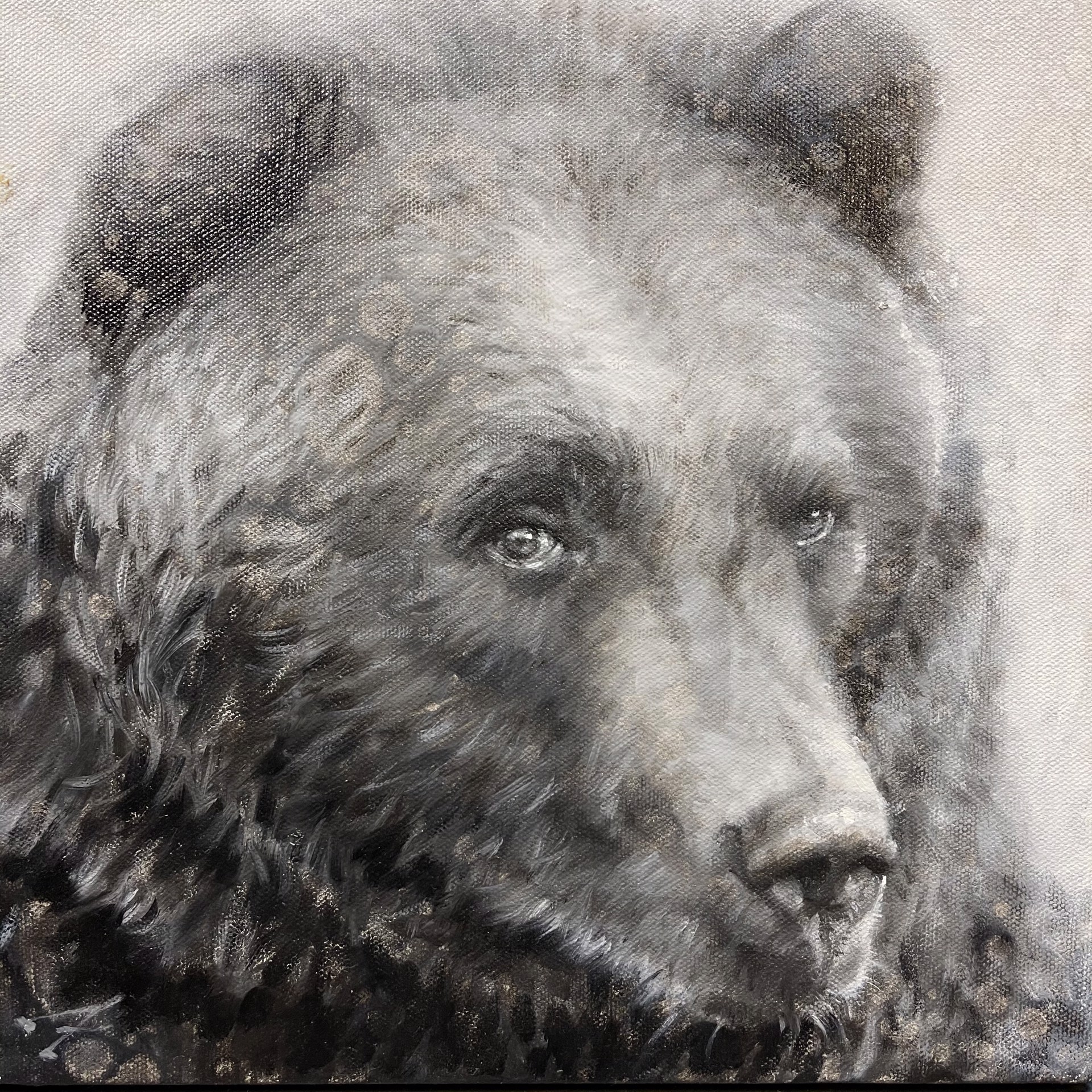 GLANCE by David Frederick Riley | Montana Trails Gallery