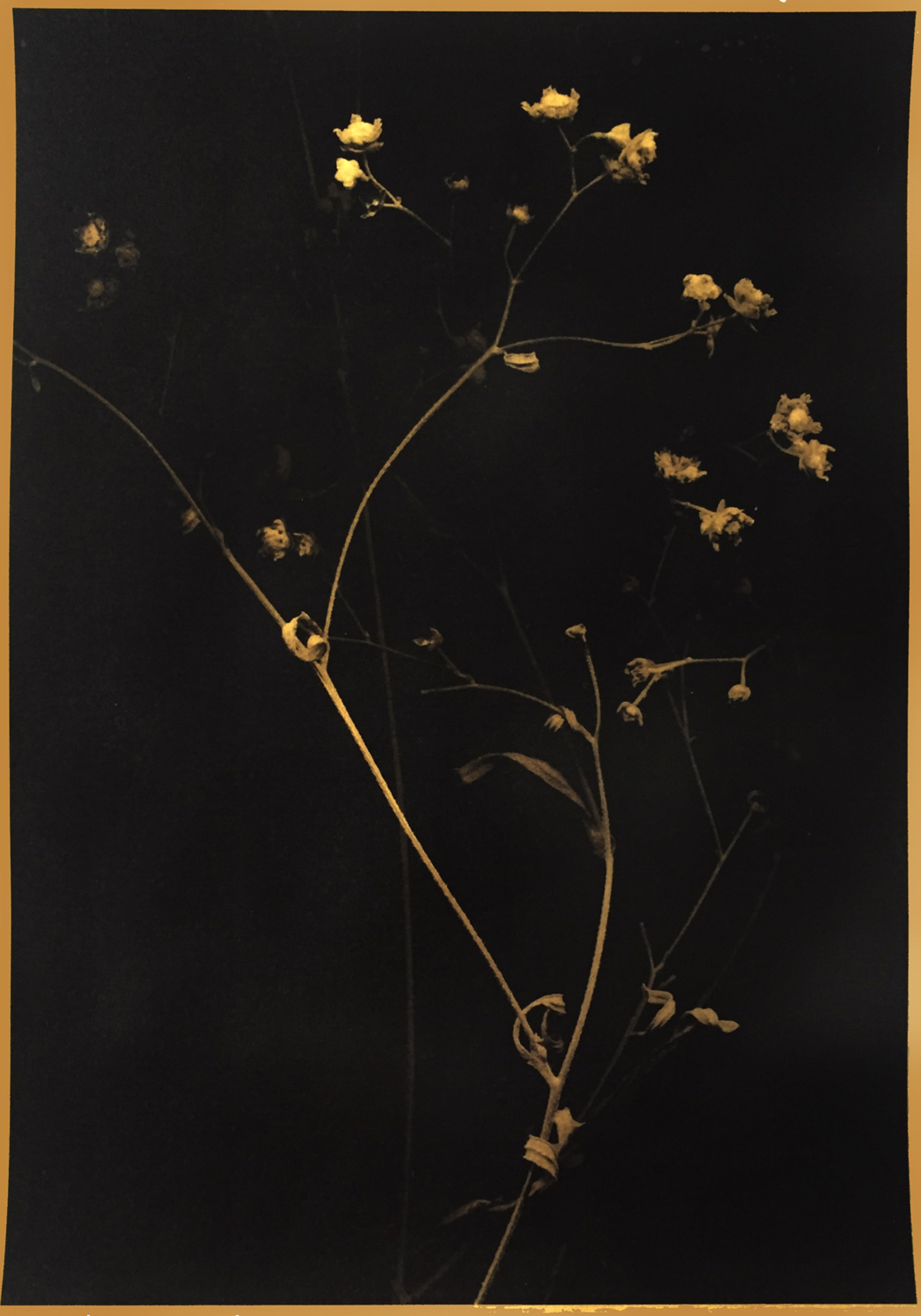 Marcy Palmer | Blue Raven Gallery
