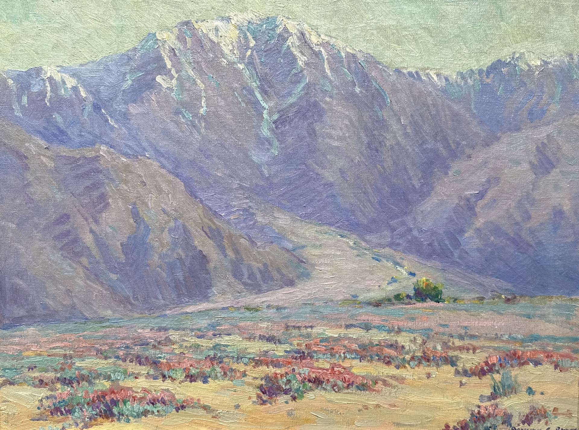 Wild Verbena, San Jacinto by Benjamin Chambers Brown | Steven Stern ...