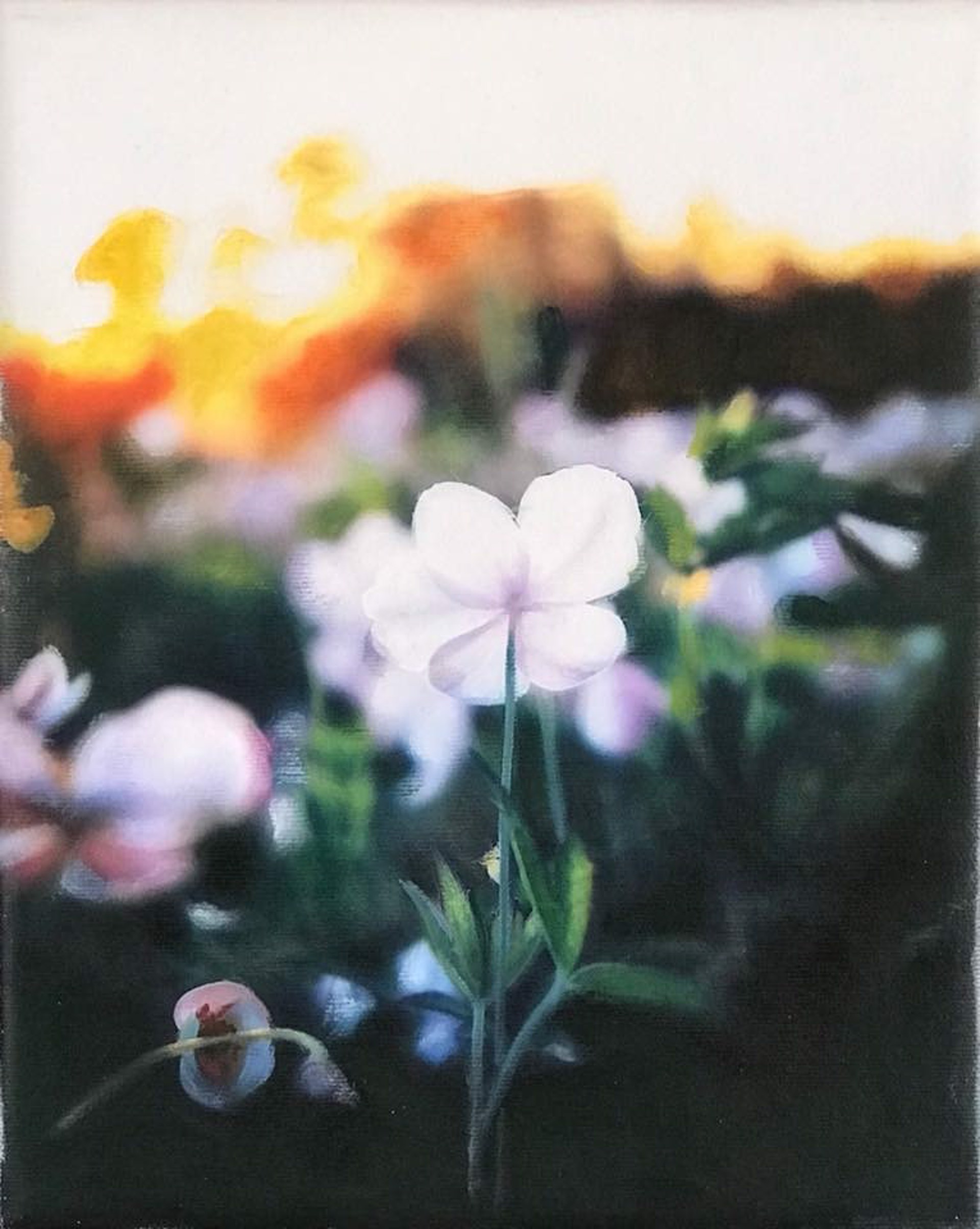 John Hyland | Abend Gallery