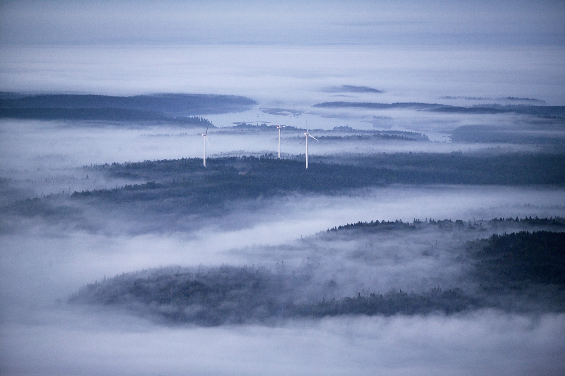 Sentinels by Peter Ralston | Ralston Gallery