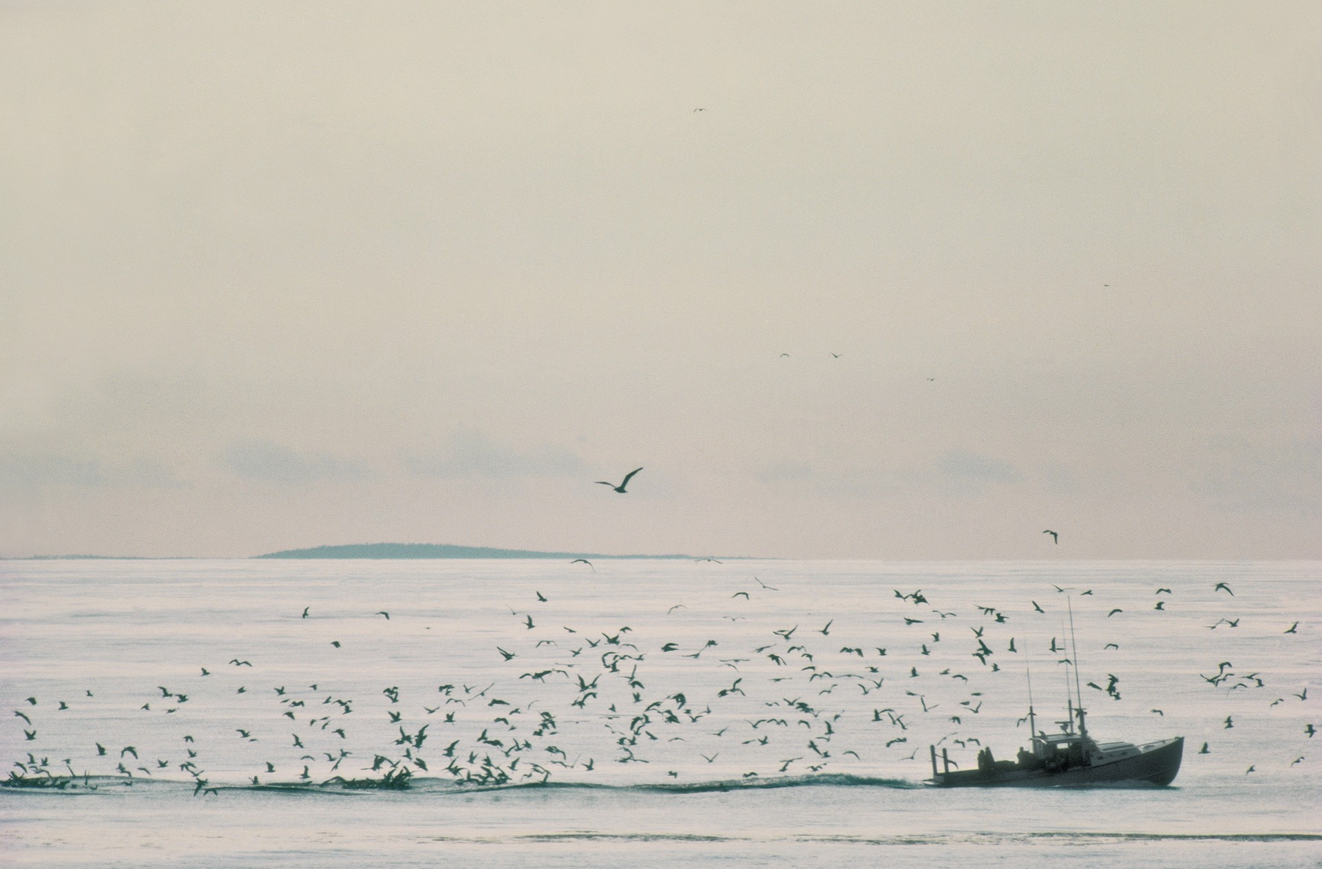 Offshore by Peter Ralston | Ralston Gallery