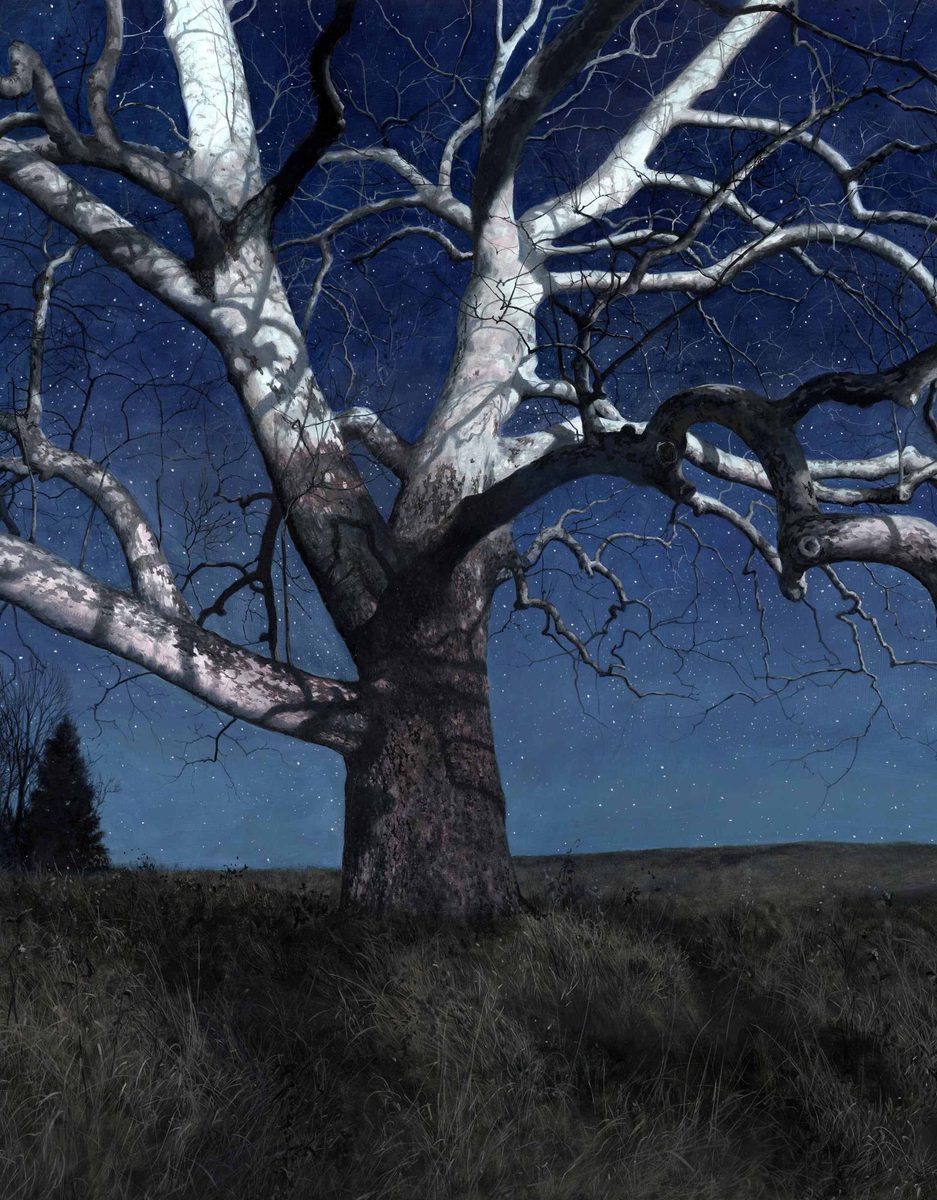 Timothy Barr | LewAllen Galleries