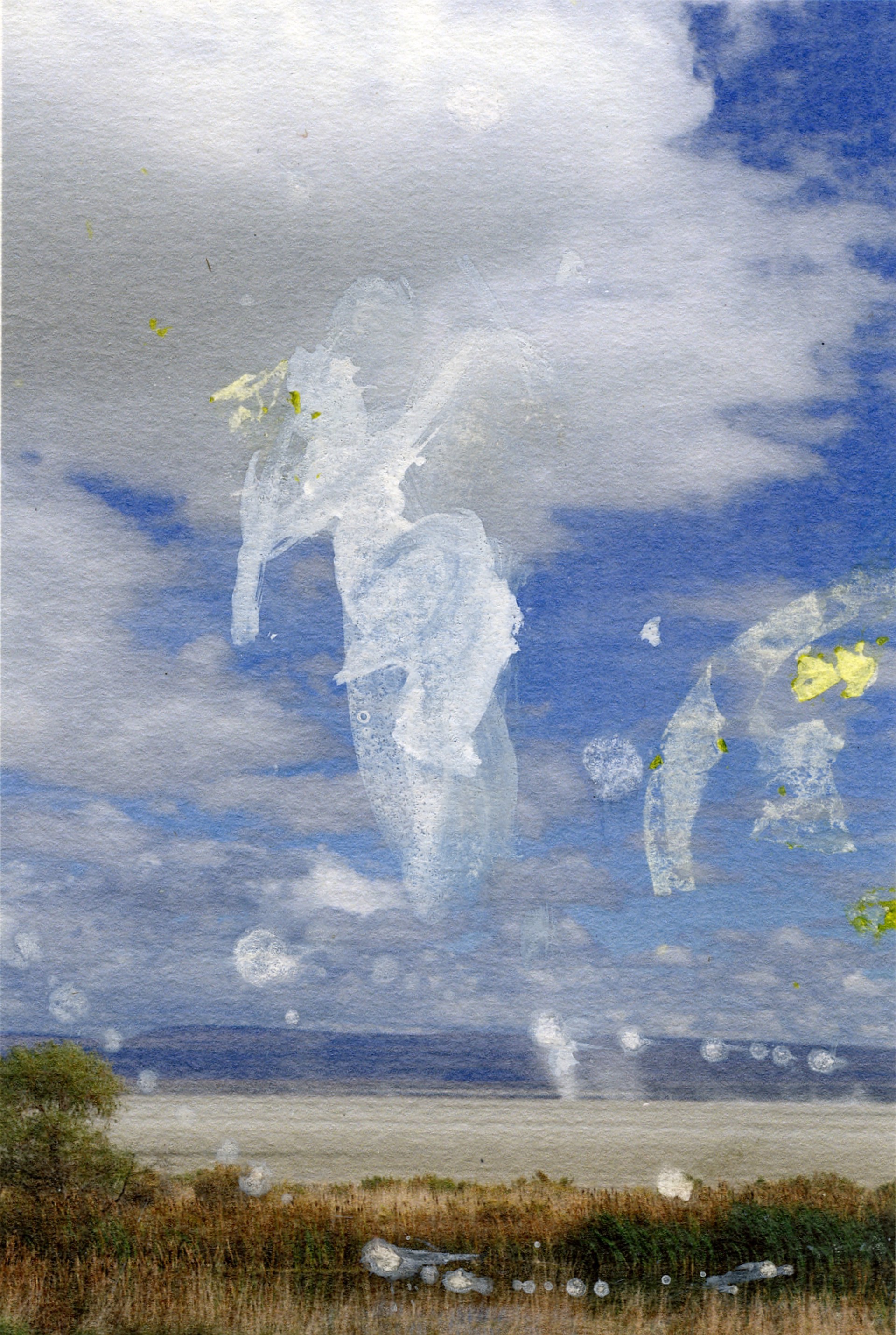 21021 by Gail Foster | StudioSwan llc