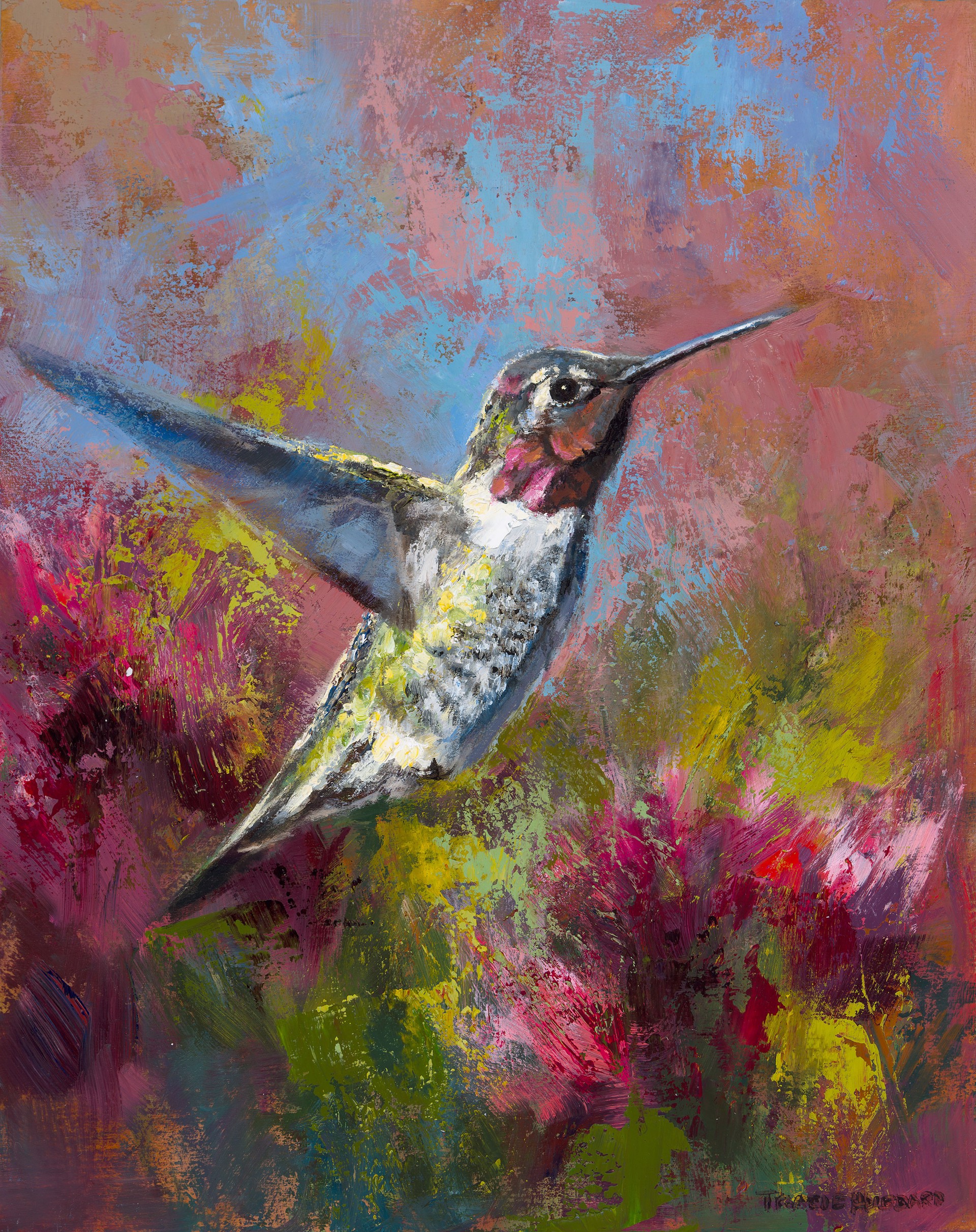 Anna's Hummingbird III by Tracie Hubbard | Cassens Fine Art