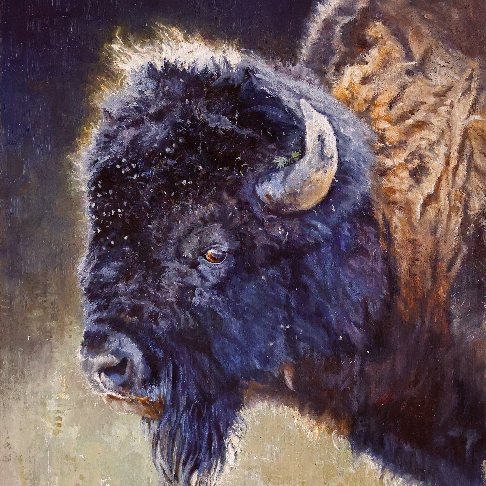 Kelly Singleton | Montana Trails Gallery