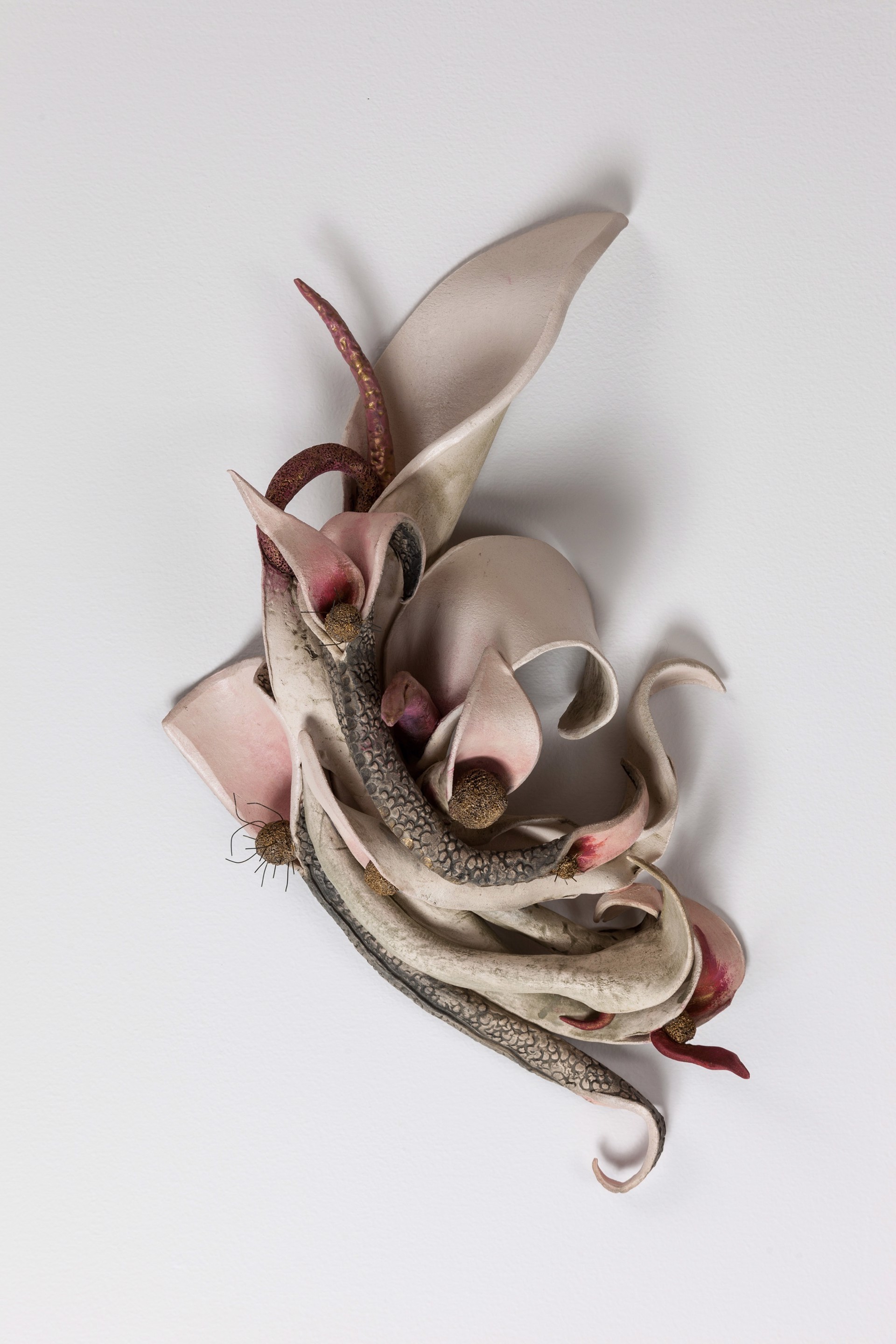 Allison Luce | Lexicon Gallery