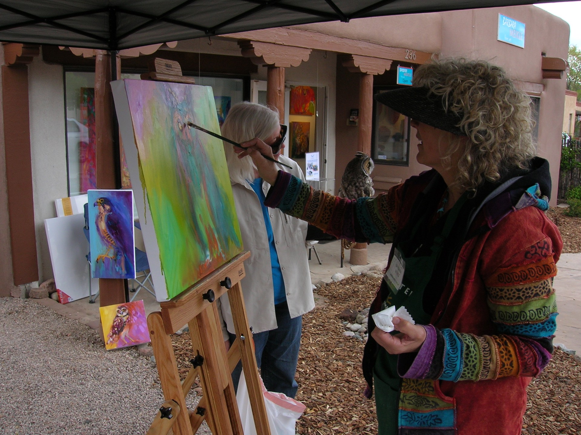Barbara Meikle 2026 Arizona Wild! Festival Show Preview | Cobalt Gallery