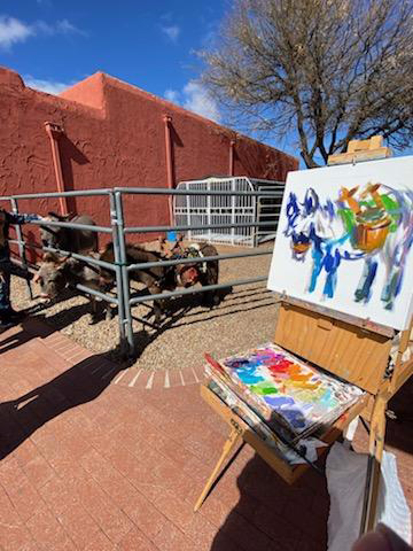 Barbara Meikle 2026 Arizona Wild! Festival Show Preview | Cobalt Gallery