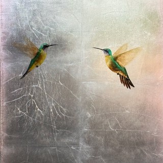 Home | Wy's Galleries