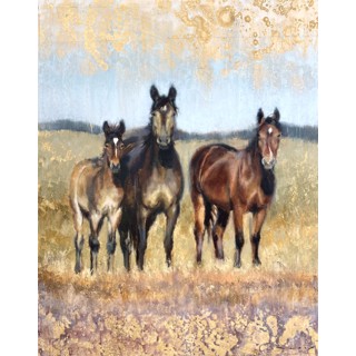 Gallery Wild - Local Fine Art Gallery in Jackson Hole Wyoming
