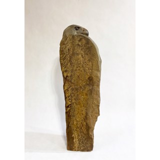 Vulnerable by Richard Burke | Gallery Wild