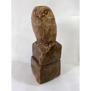 Vulnerable by Richard Burke | Gallery Wild