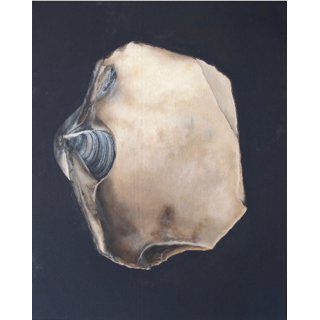 Sarah Verardo | Portland Art Gallery