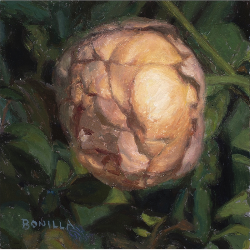 Raymond Bonilla | Abend Gallery