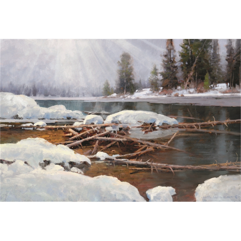 Jim Wilcox | Wilcox Gallery