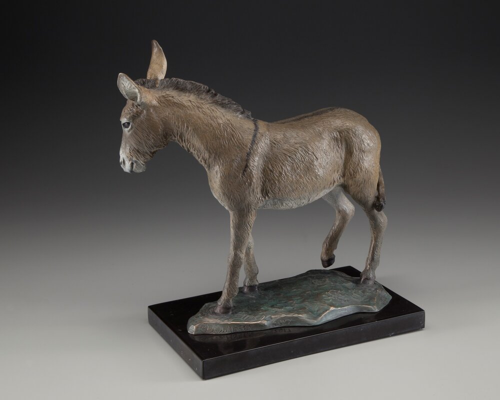 Bonita (Edition of 19) by Diane Mason | ArtCloud